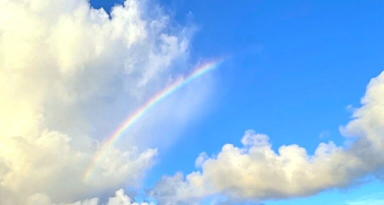 MAP＜Amynaサポーター専用＞ – άμυνα｜Amyna